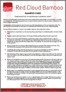 Bamboo Growing Guides & FAQs | Red Cloud Bamboo Resources
