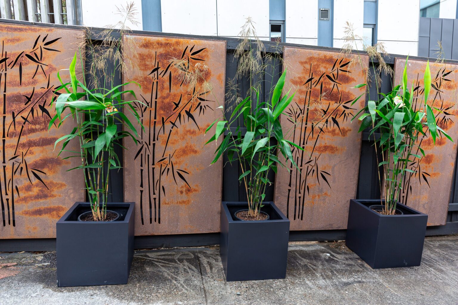 Fibreglass Planter Boxes - Square - Bamboo Plus