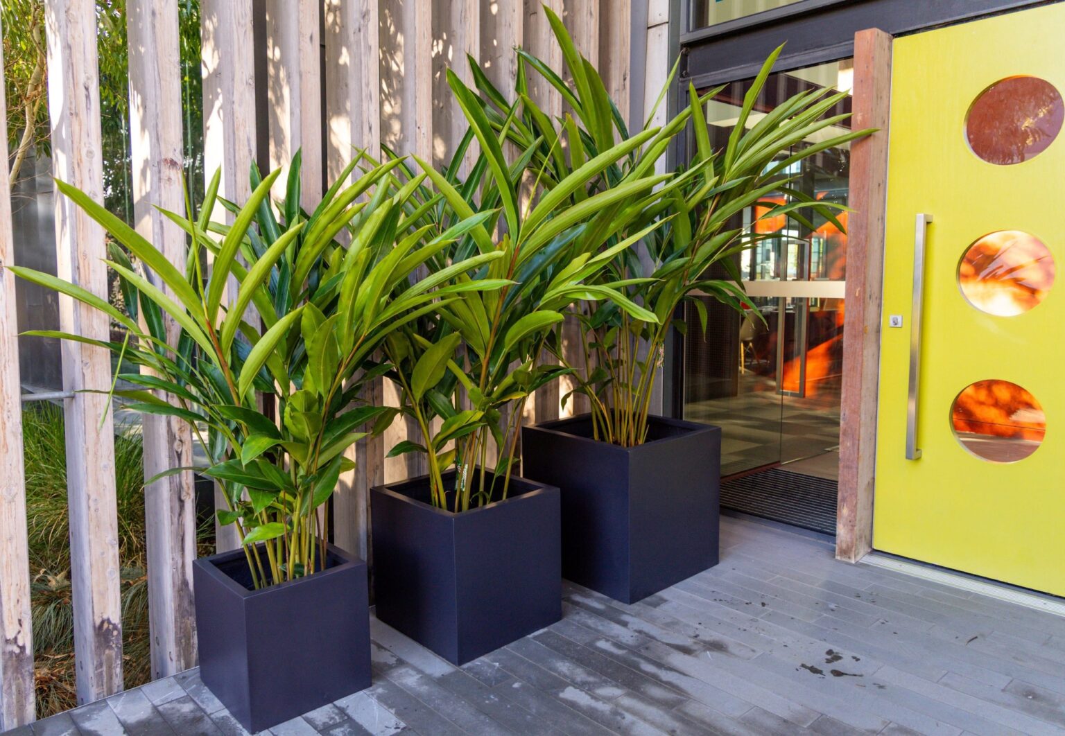 Fibreglass Planter Boxes - Square - Bamboo Plus